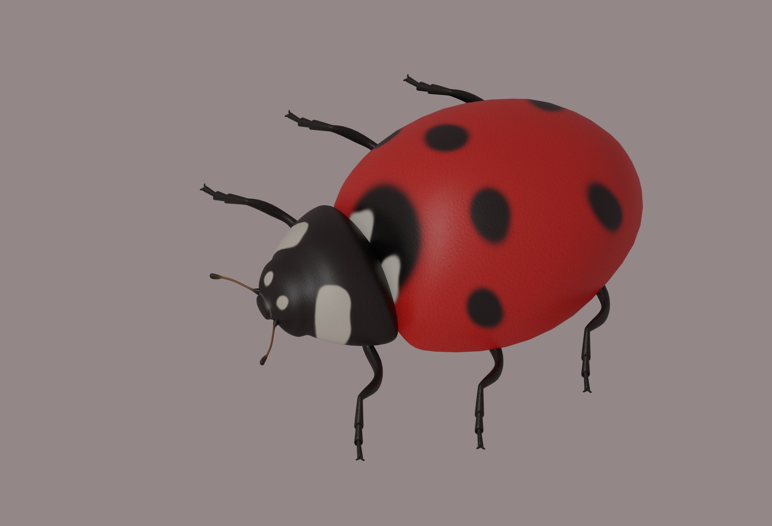 3D Ladybug - TurboSquid 2058152
