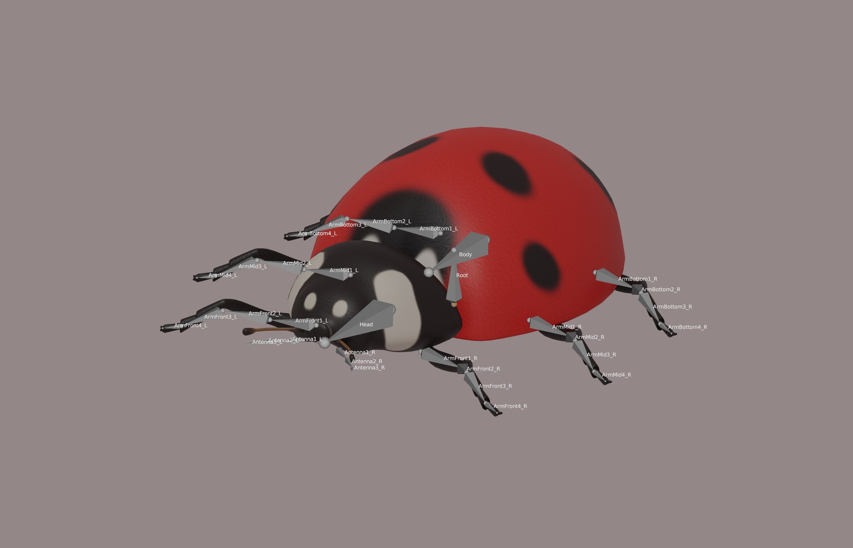3D Ladybug - TurboSquid 2058152