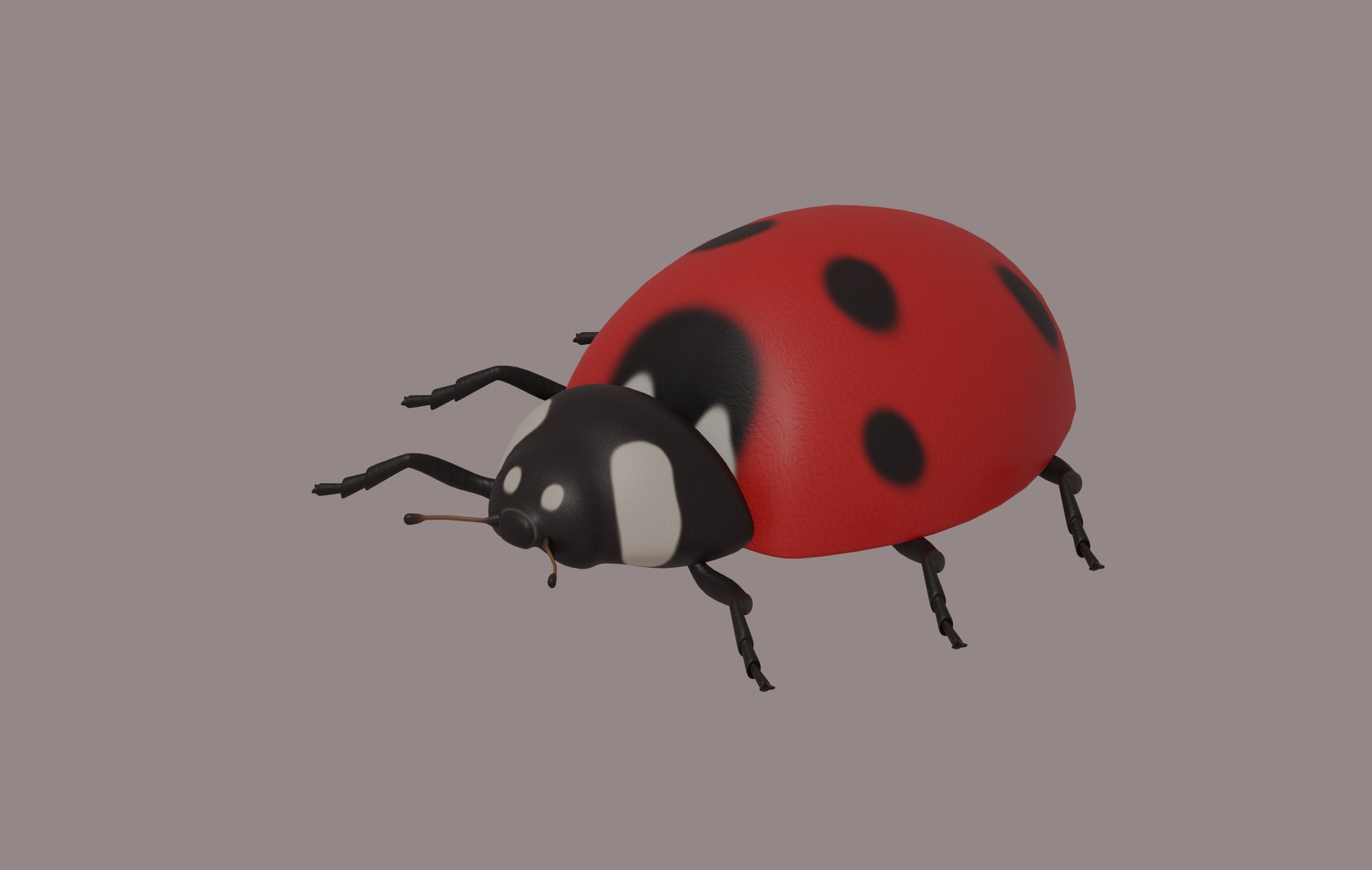 3D Ladybug - TurboSquid 2058152