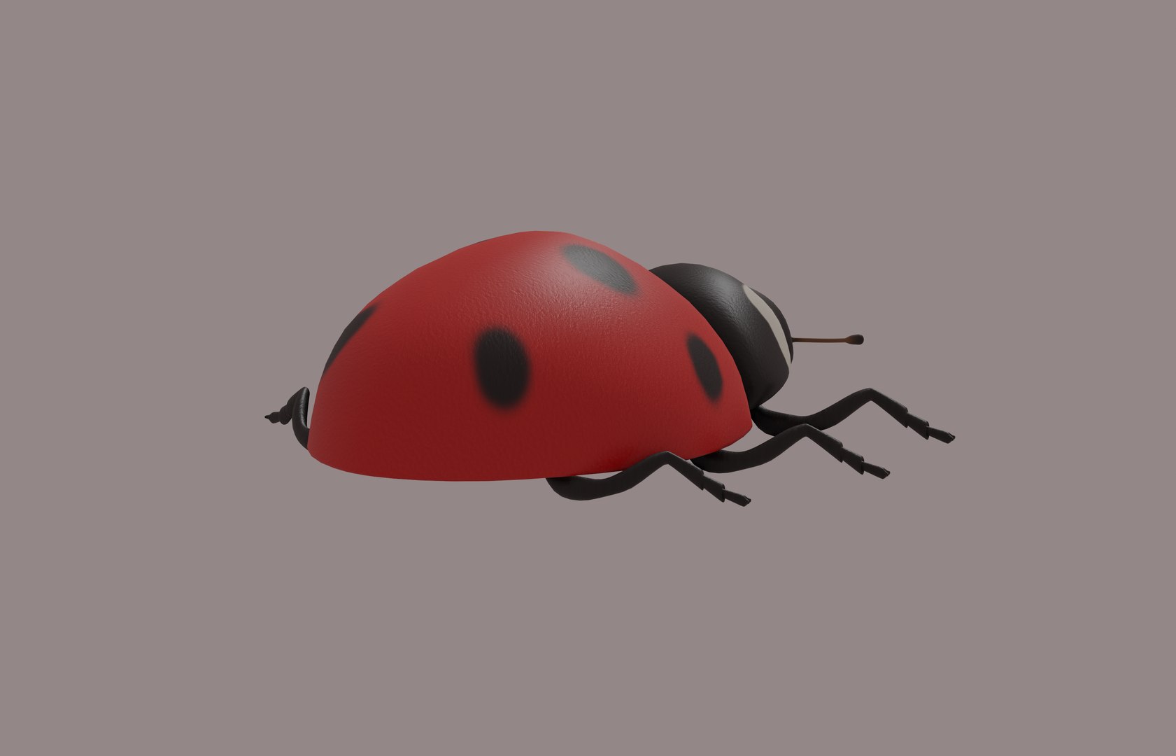 3D Ladybug - TurboSquid 2058152