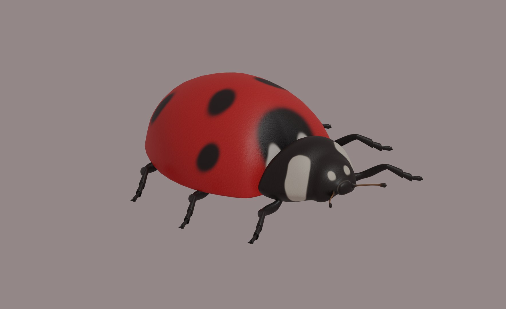 3D Ladybug - TurboSquid 2058152