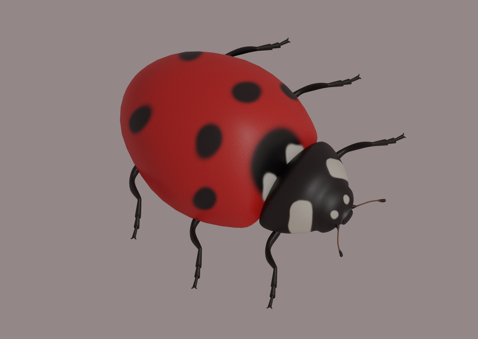 3D Ladybug - TurboSquid 2058152
