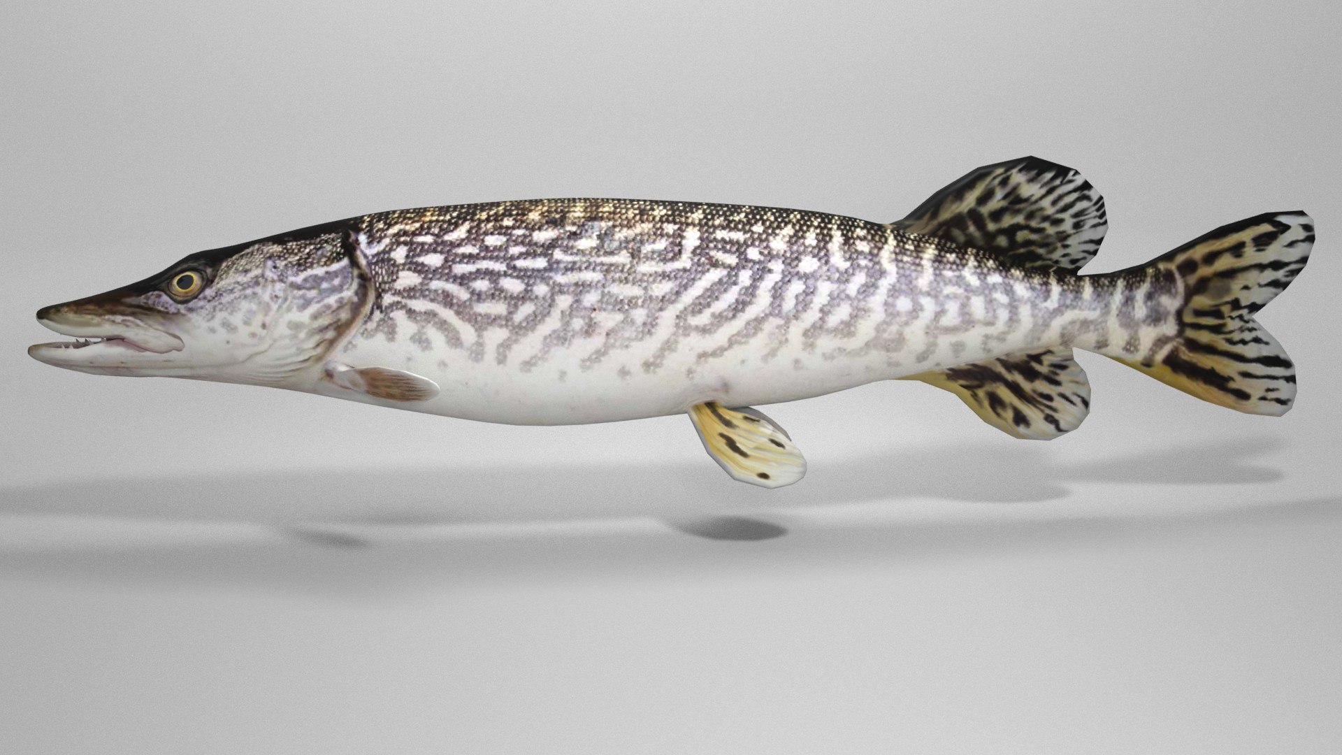3D Pike - TurboSquid 1886276