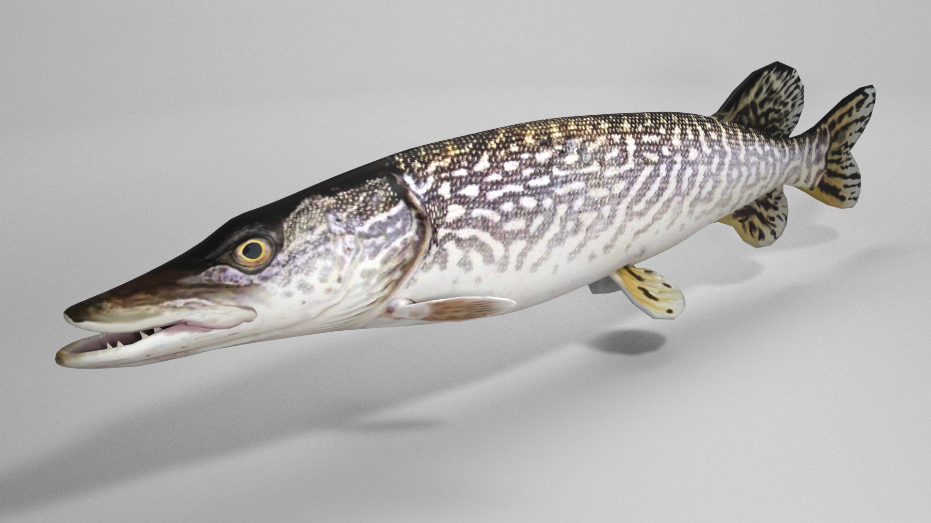 3D Pike - TurboSquid 1886276
