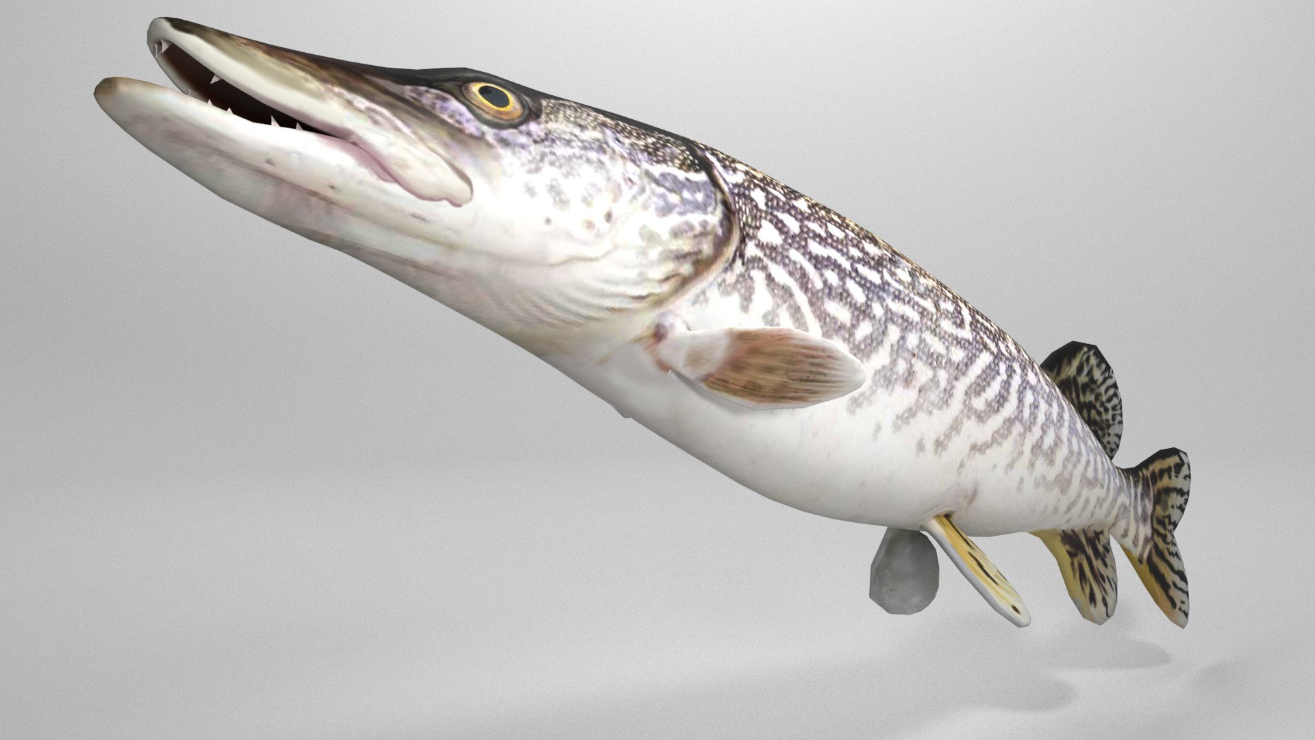 3D Pike - TurboSquid 1886276