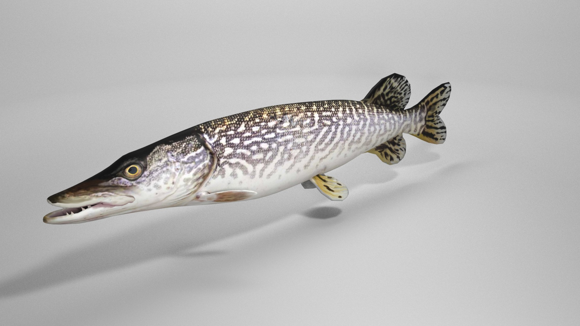3D Pike - TurboSquid 1886276