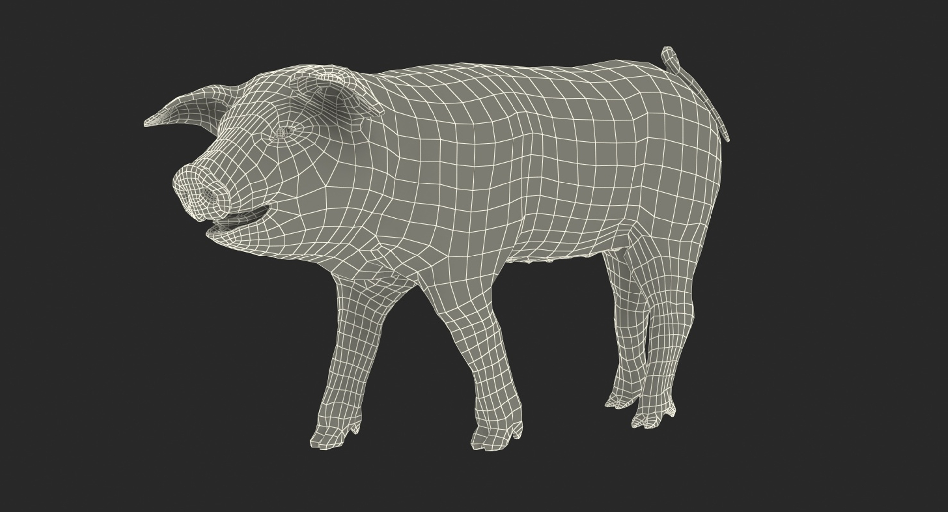 Hampshire Pig Piglet Walking 3D Model - TurboSquid 1358010