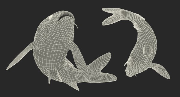 3D model koi fish swiming pose | 1144472 | TurboSquid