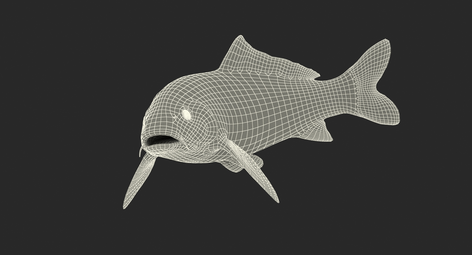 3D Model Koi Fish Swiming Pose | 1144472 | TurboSquid