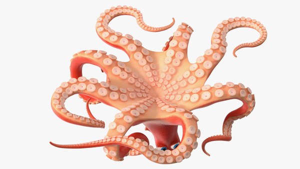 3D Cartoon Octopus Moving Pose model - TurboSquid 1971811