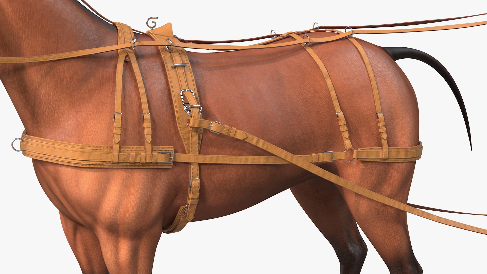 3D horse leather single driving model - TurboSquid 1580992