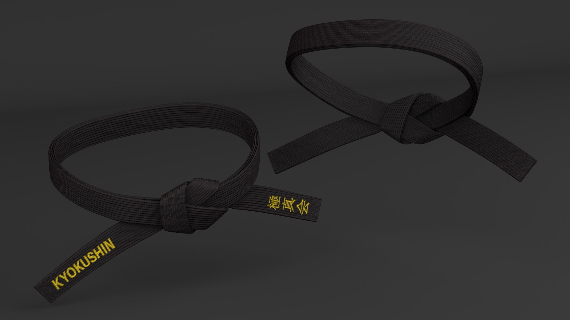 Kyokushin Black Waist Obi Belt Model - TurboSquid 2132268