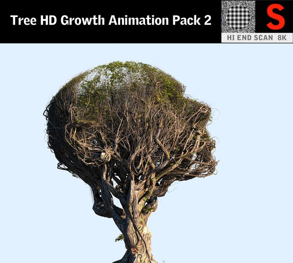Tree head pack 10 3D model - TurboSquid 1287368