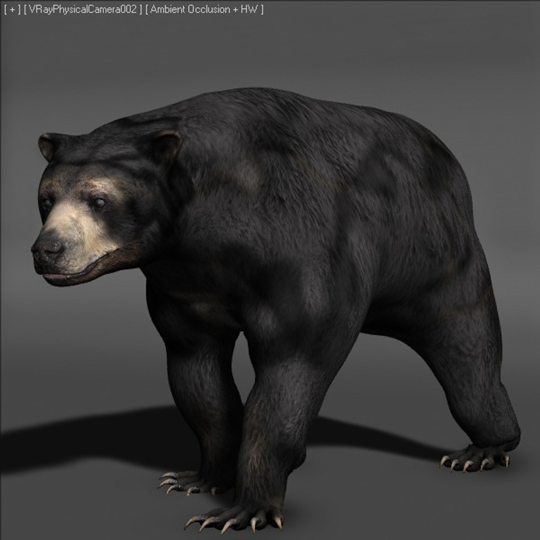 - Rigged Animation 3d Model