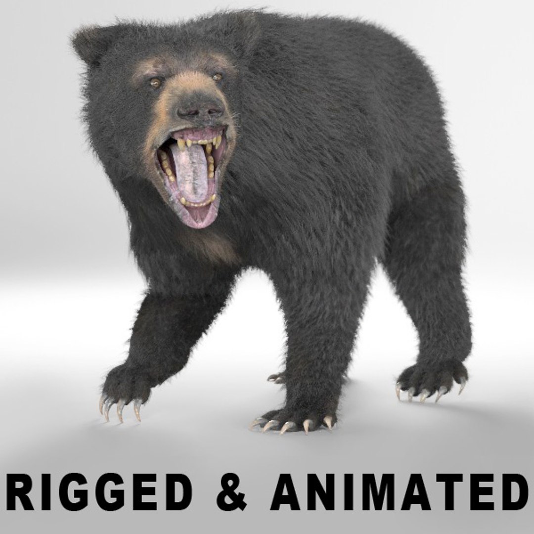 - Rigged Animation 3d Model