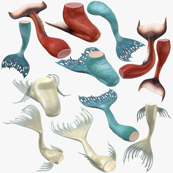 3D model mermaid tail 01 laying - TurboSquid 1243368
