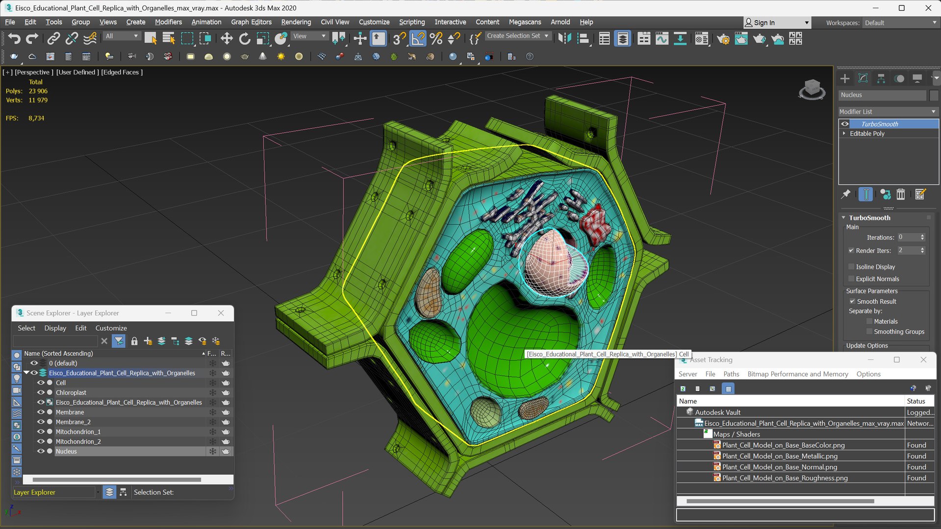 3D Eisco Educational Plant Cell Replica With Organelles - TurboSquid ...