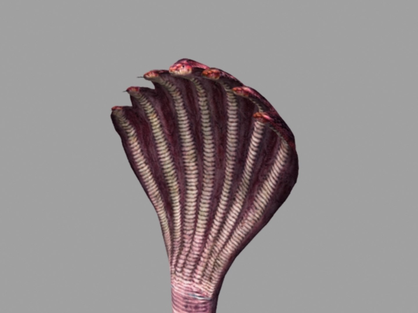 Sheshnaag Naag 3D Model - TurboSquid 1395760