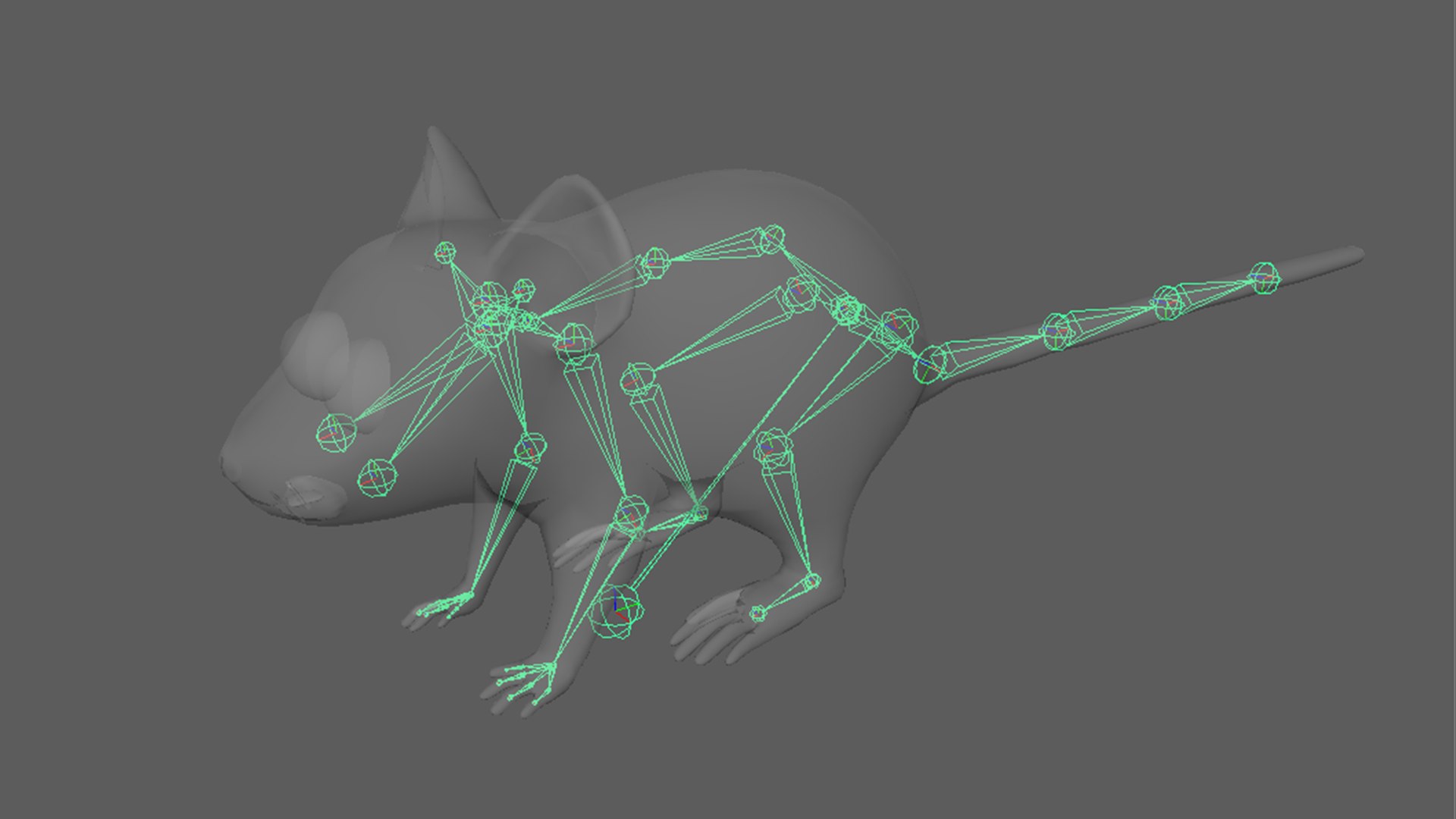 3D Mouse Animations - TurboSquid 1485588