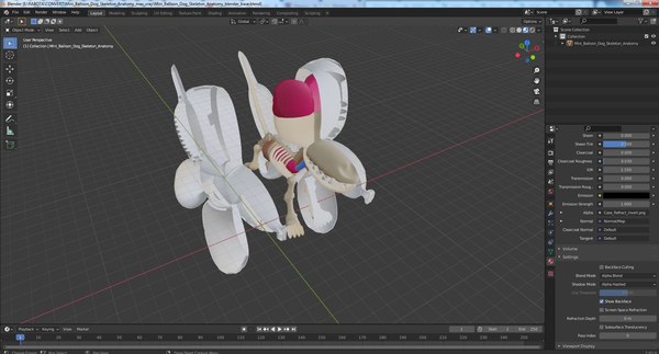 Mini Balloon Dog Skeleton Anatomy model - TurboSquid 1842015