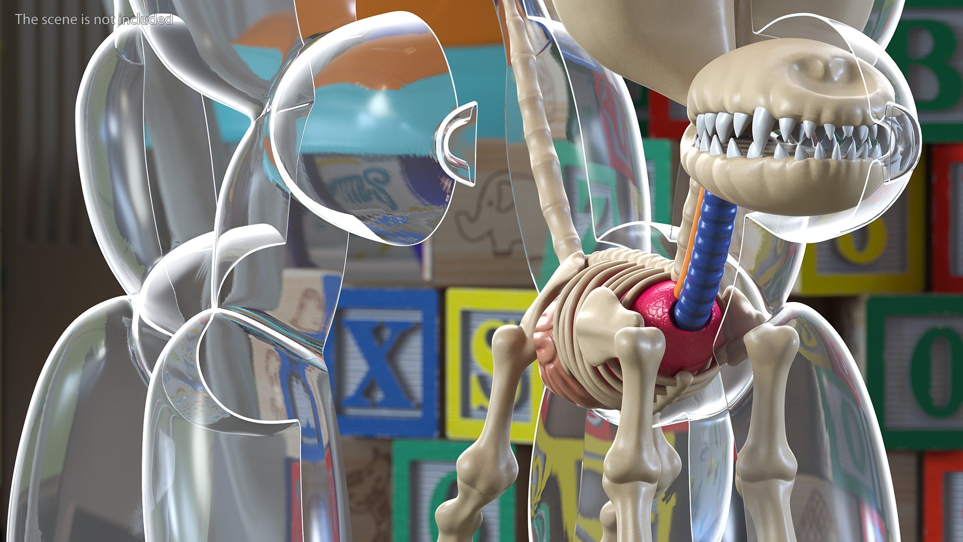 Mini Balloon Dog Skeleton Anatomy model - TurboSquid 1842015