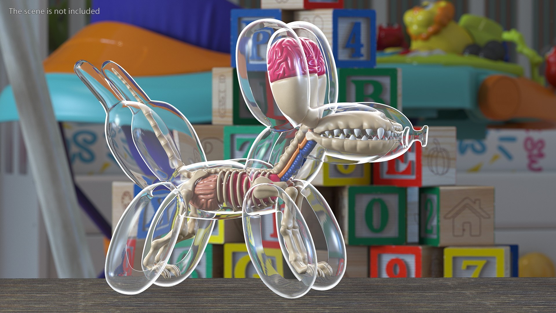 Mini Balloon Dog Skeleton Anatomy model - TurboSquid 1842015