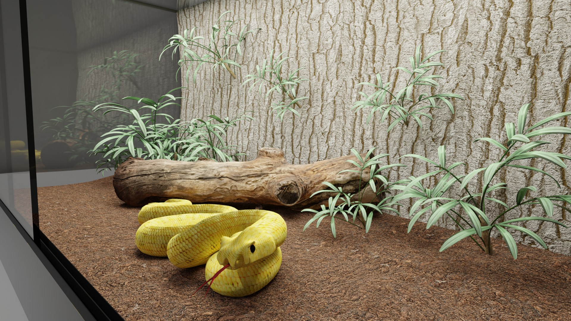 3D Model Snake Terrarium - TurboSquid 1800710
