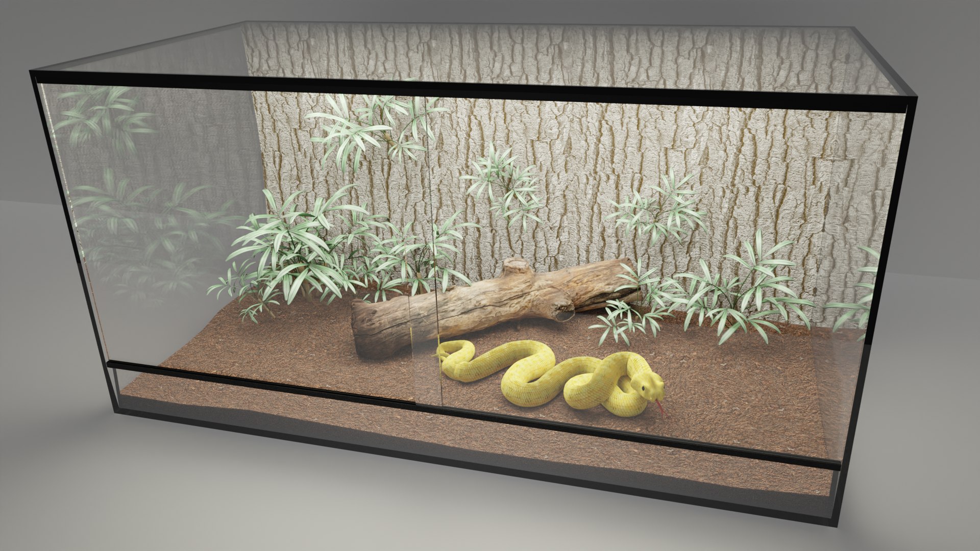 3D Model Snake Terrarium - TurboSquid 1800710