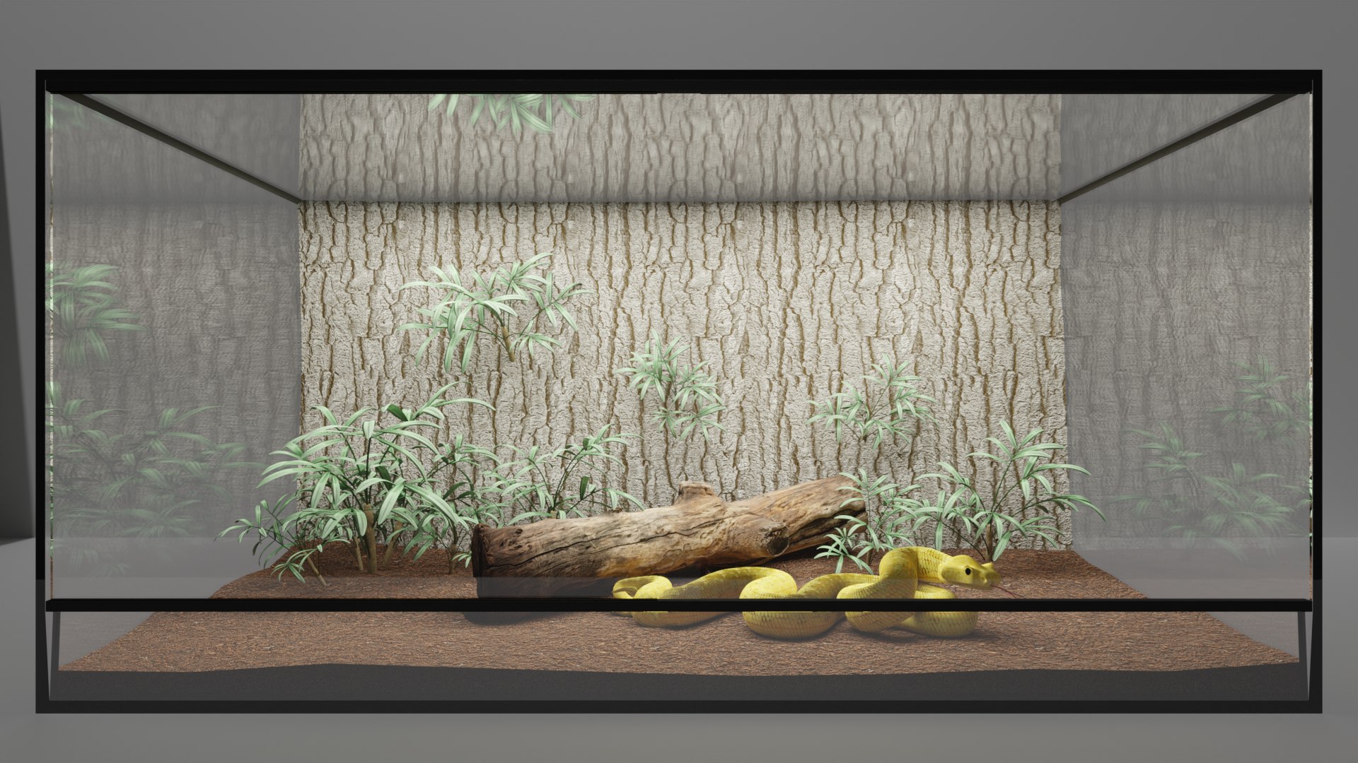 3D Model Snake Terrarium - TurboSquid 1800710