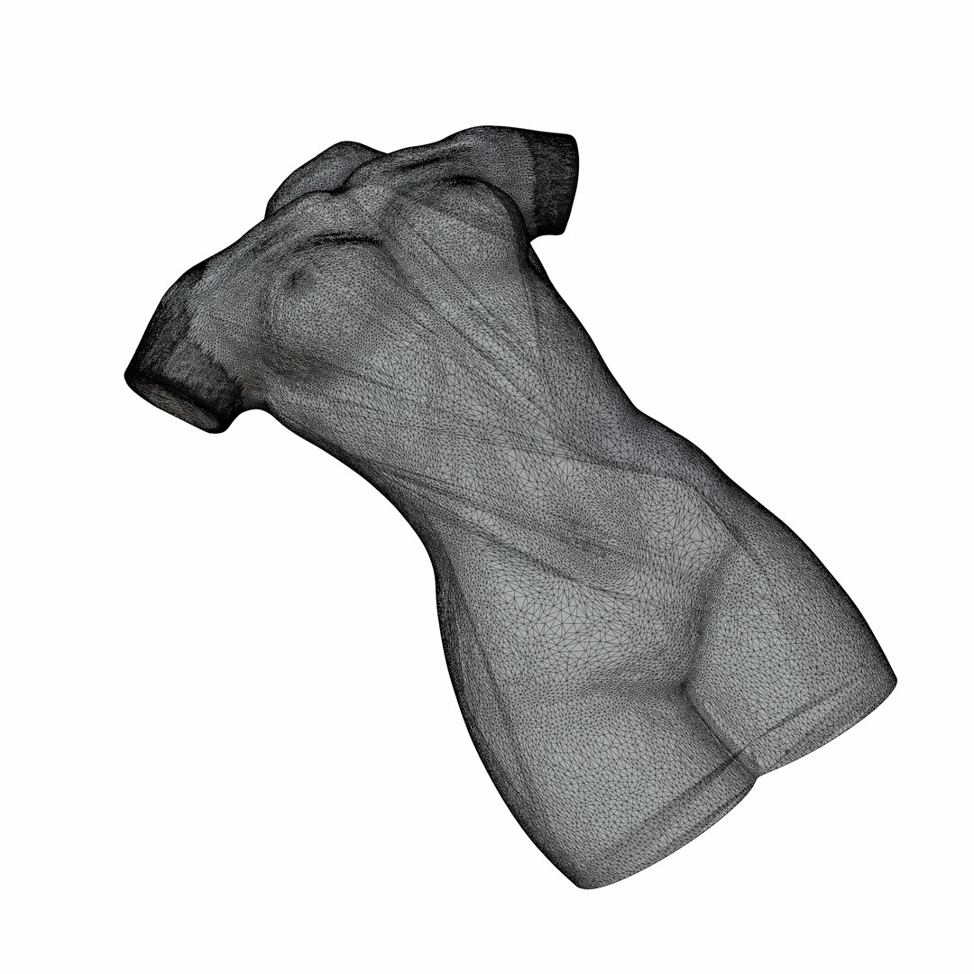 3D Woman Body Figure - TurboSquid 2177819