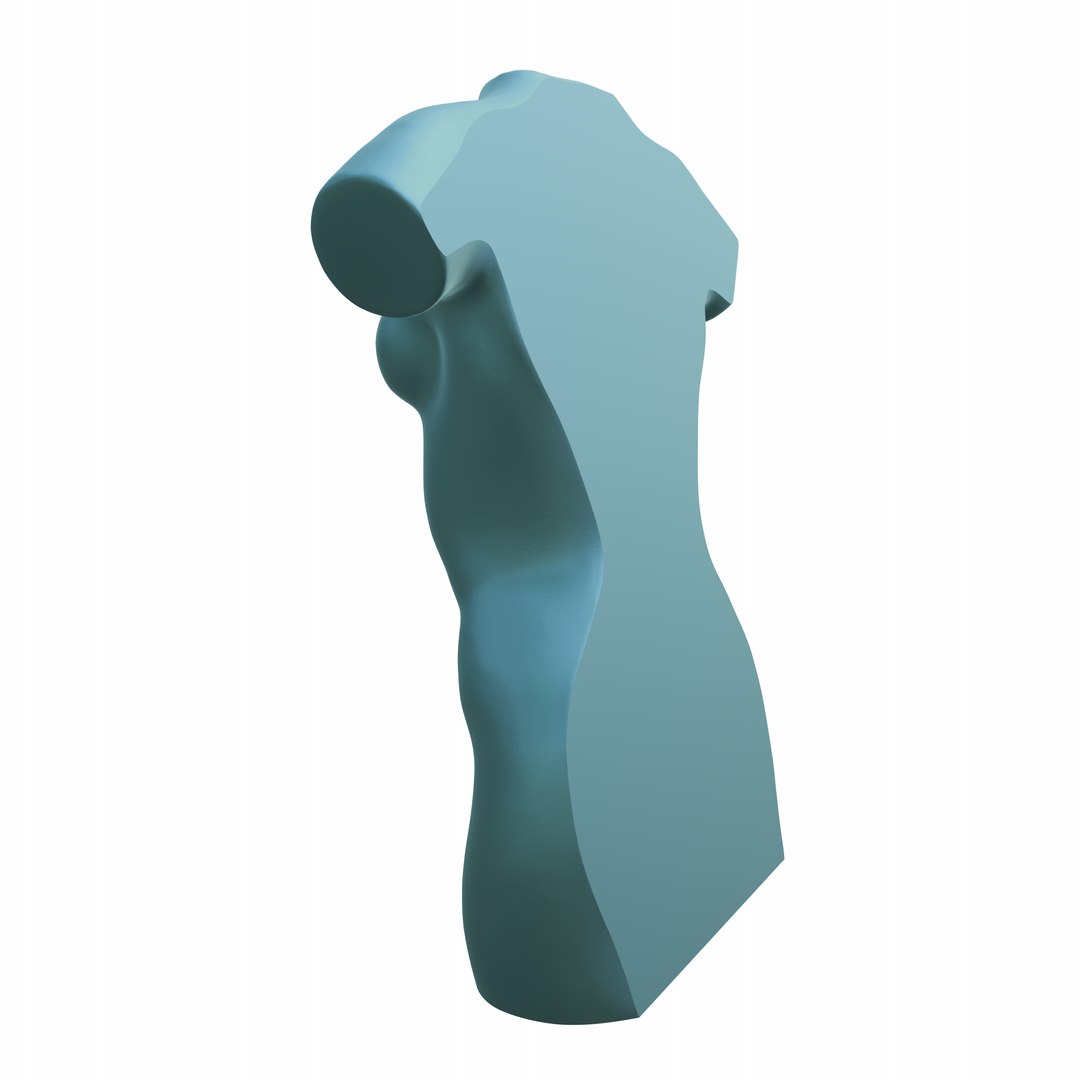 3D Woman Body Figure - TurboSquid 2177819