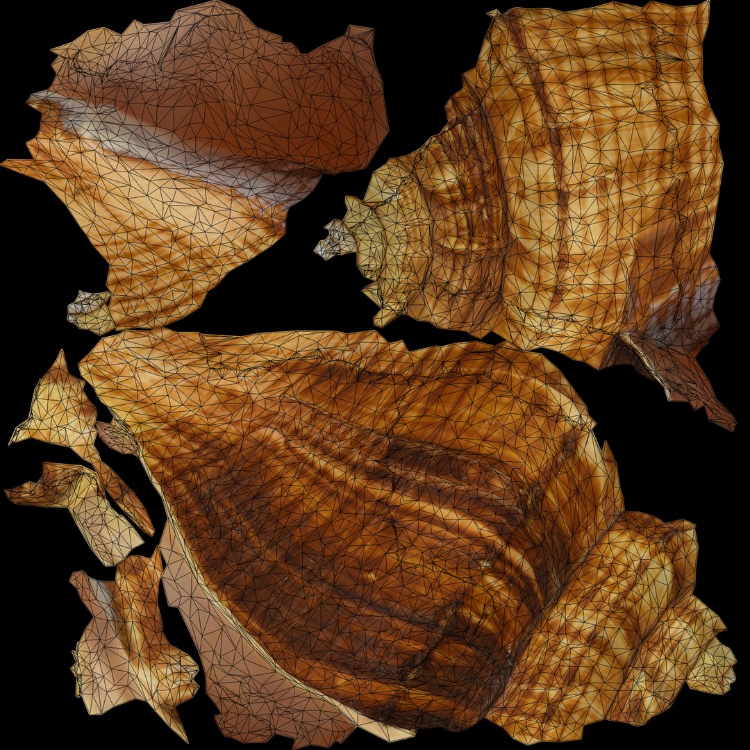 brown shell 3d model