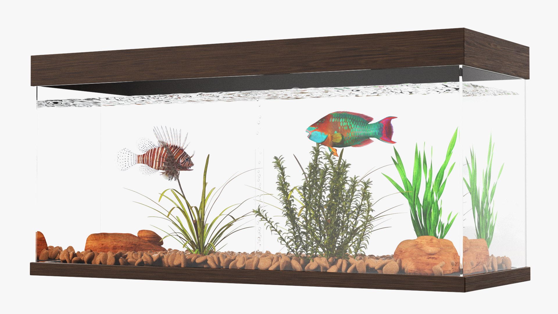 3D Model Fish Tank Wooden Long - TurboSquid 2132397