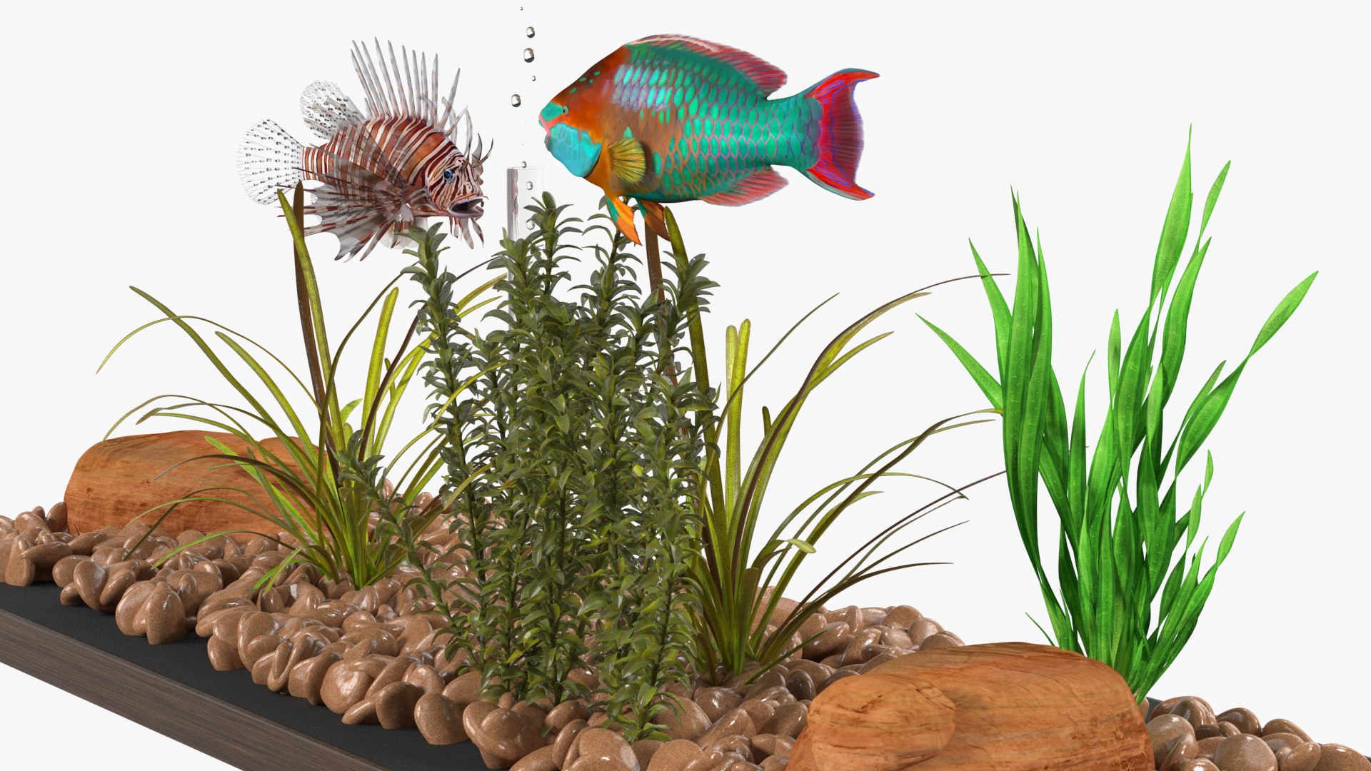 3D Model Fish Tank Wooden Long - TurboSquid 2132397