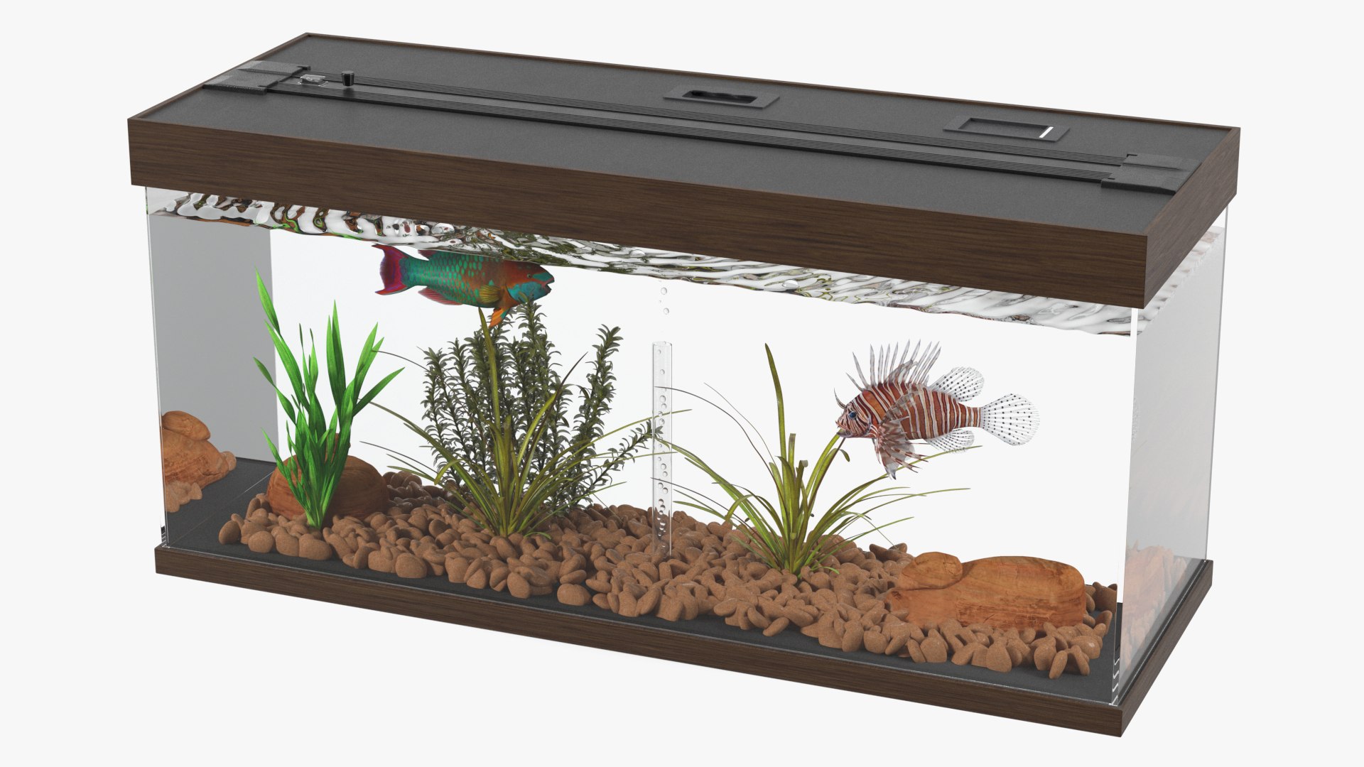3D Model Fish Tank Wooden Long - TurboSquid 2132397