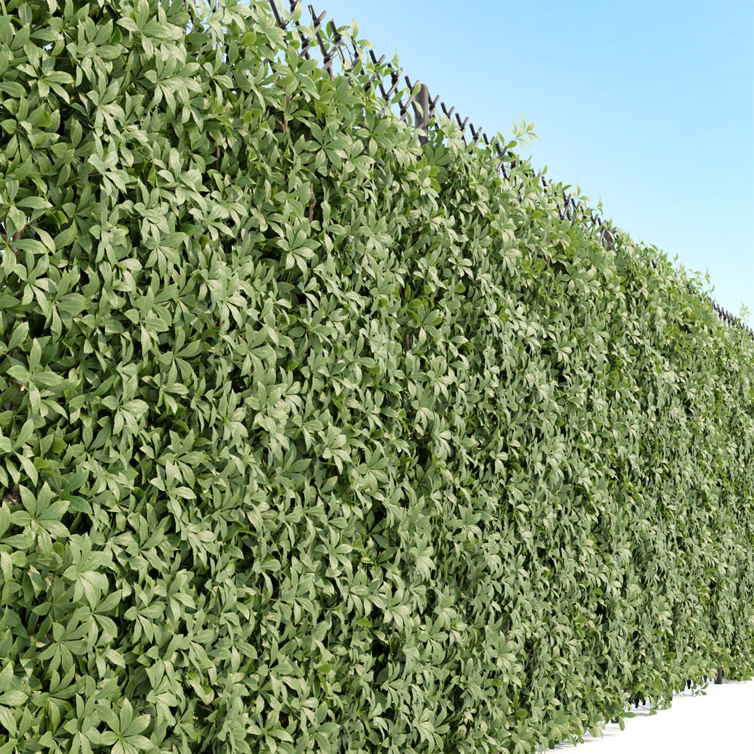 Virginia Creeper On Fence Vol 182 3D - TurboSquid 2020486