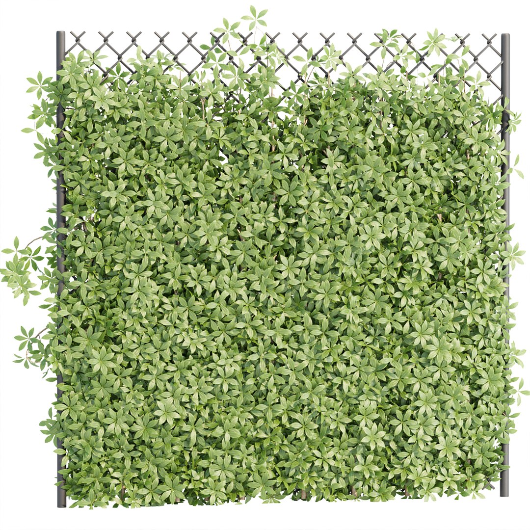 Virginia creeper on fence vol 182 3D - TurboSquid 2020486