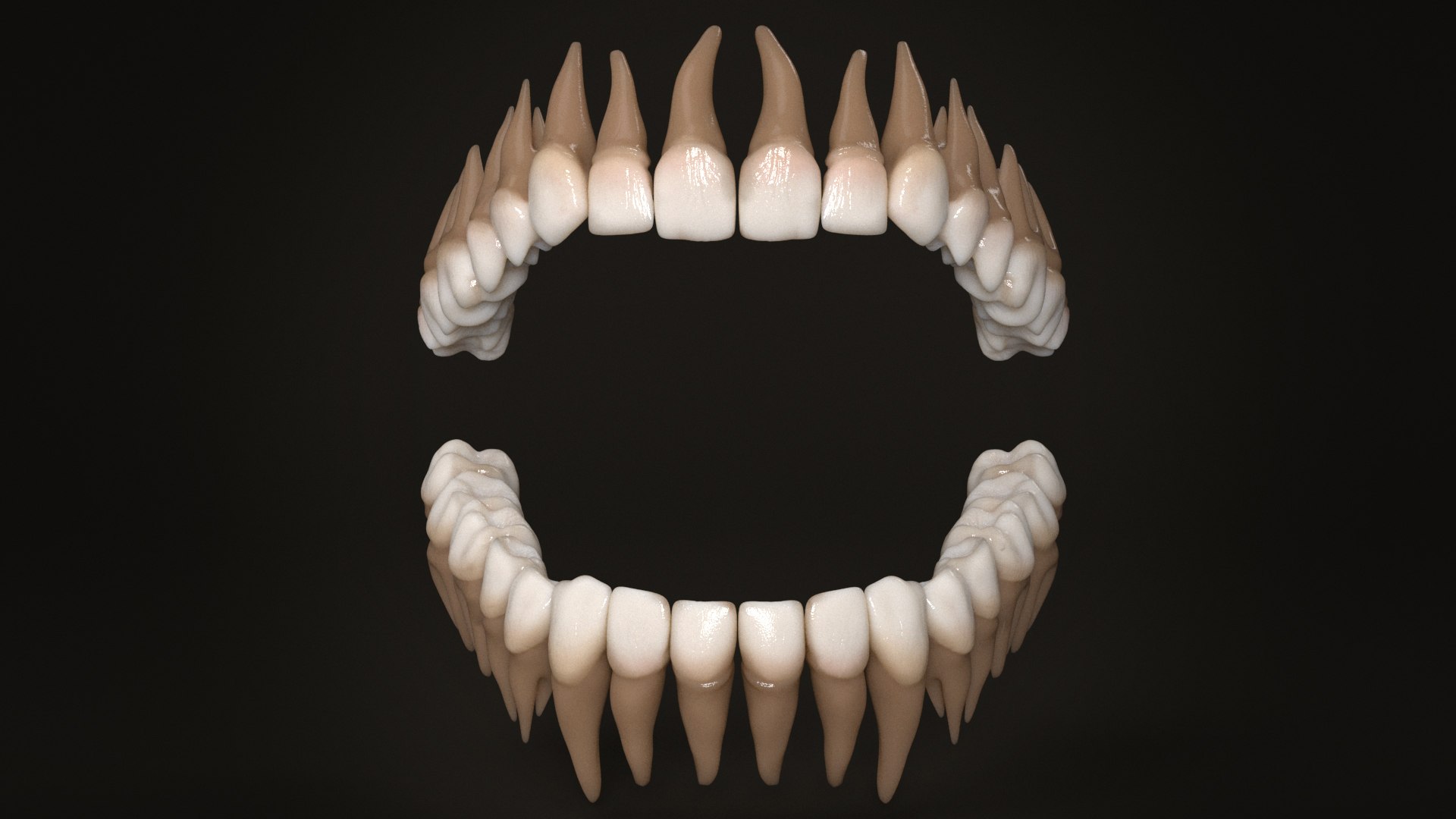 Realistic Human Teeth Model - TurboSquid 2301036