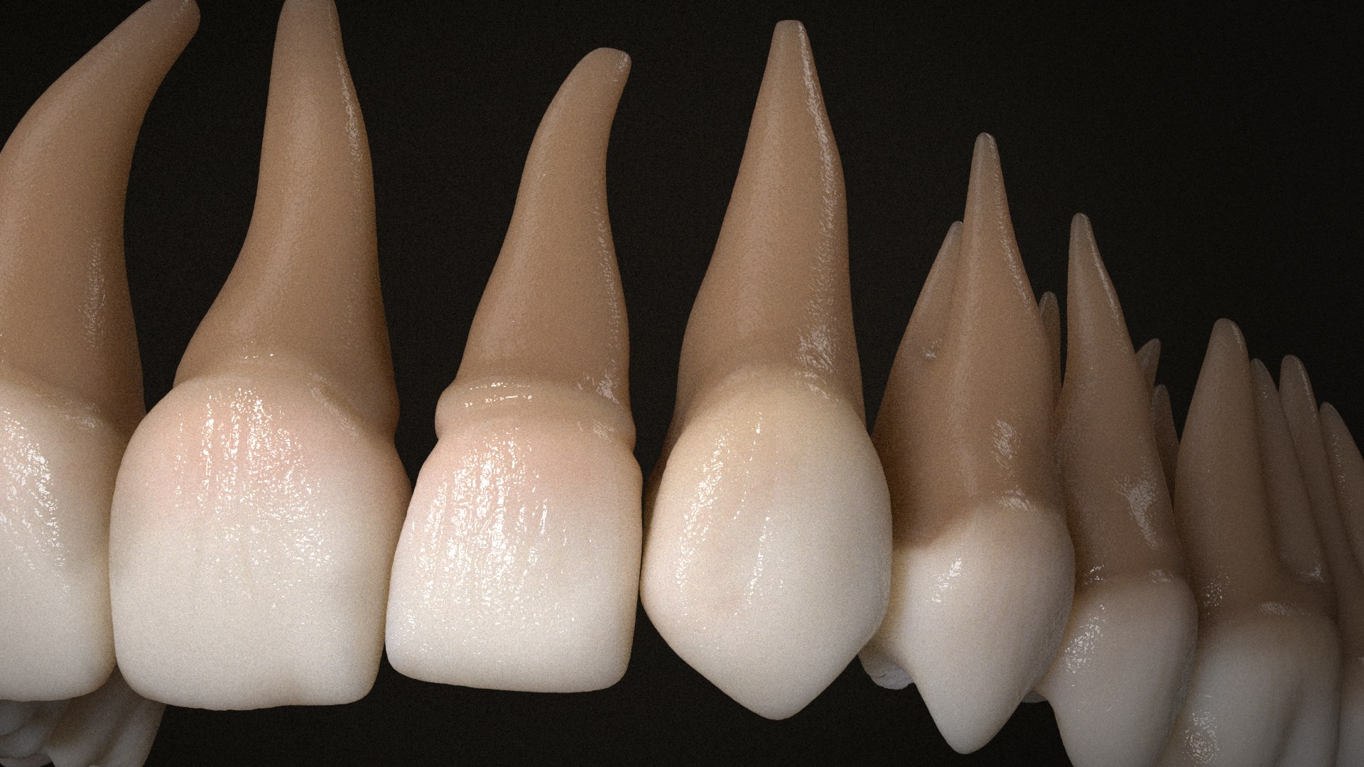 Realistic Human Teeth Model - TurboSquid 2301036