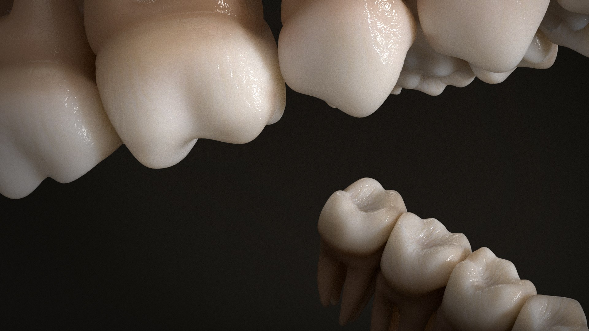 Realistic Human Teeth Model - TurboSquid 2301036