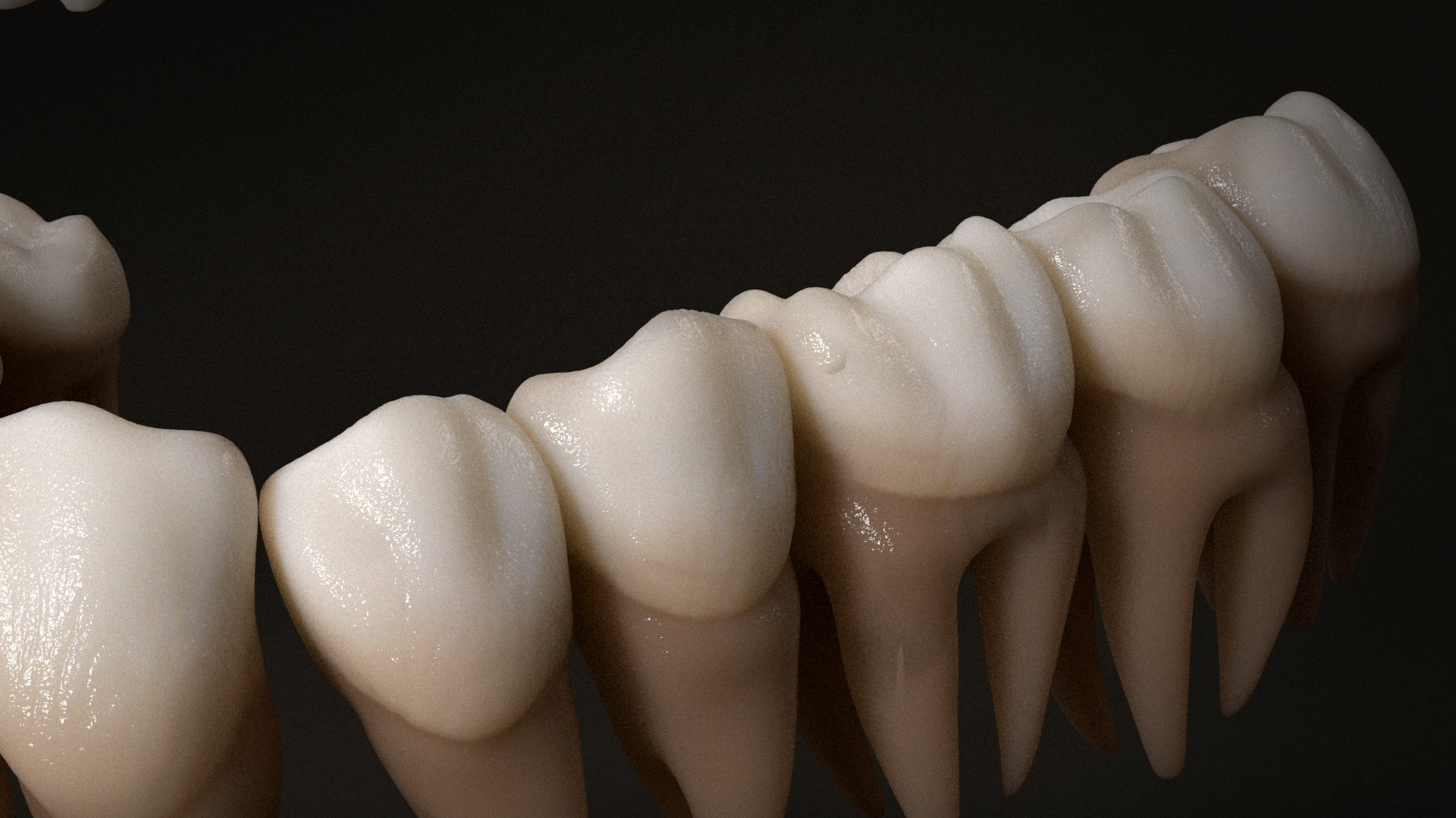 Realistic Human Teeth Model - TurboSquid 2301036
