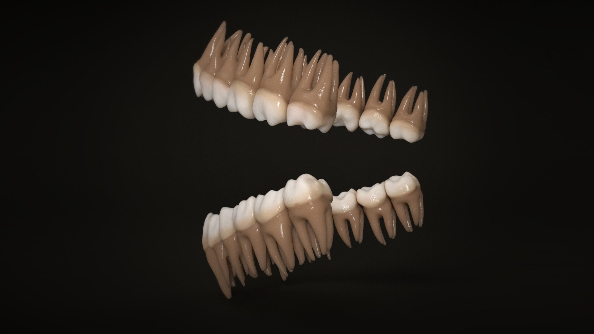 Realistic Human Teeth Model - TurboSquid 2301036