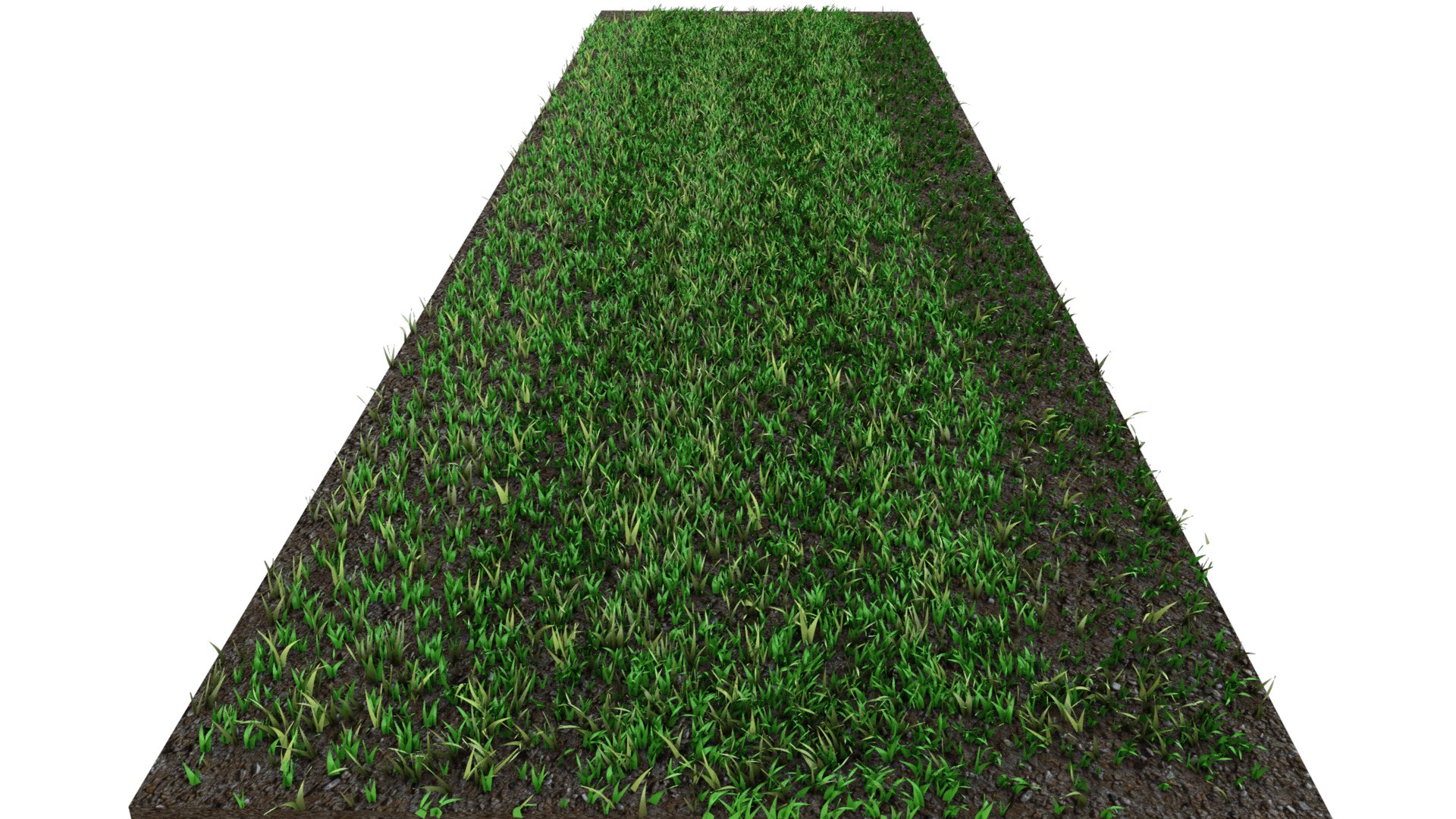 Augustine Lawn Grass 3D Model - TurboSquid 1983913