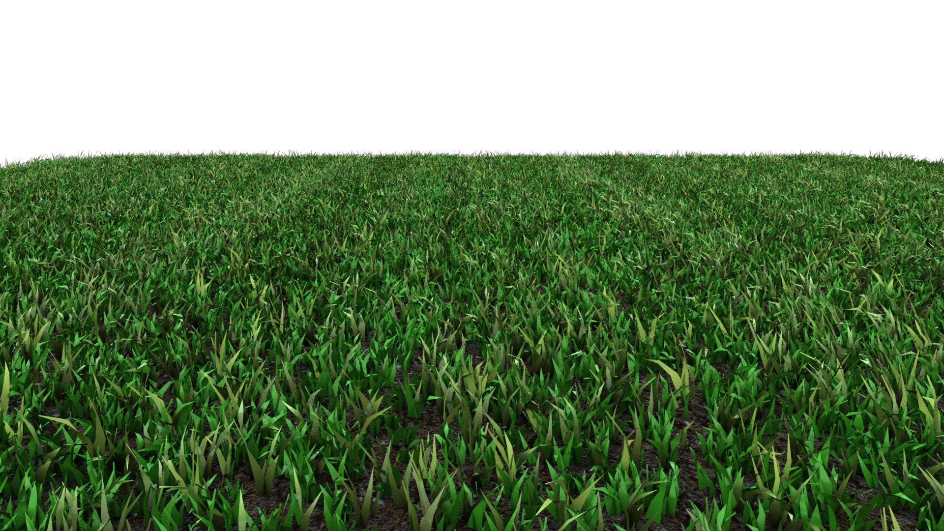 Augustine Lawn Grass 3D Model - TurboSquid 1983913
