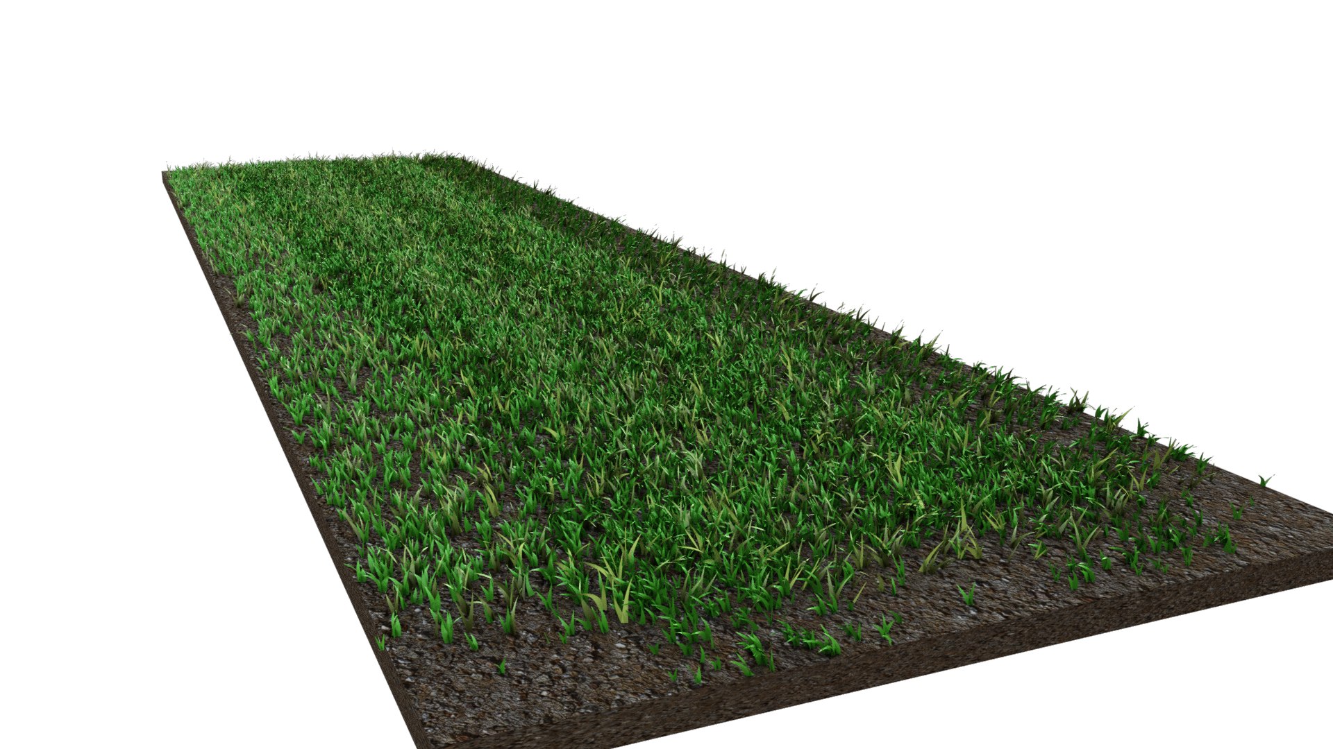 Augustine Lawn Grass 3D Model - TurboSquid 1983913