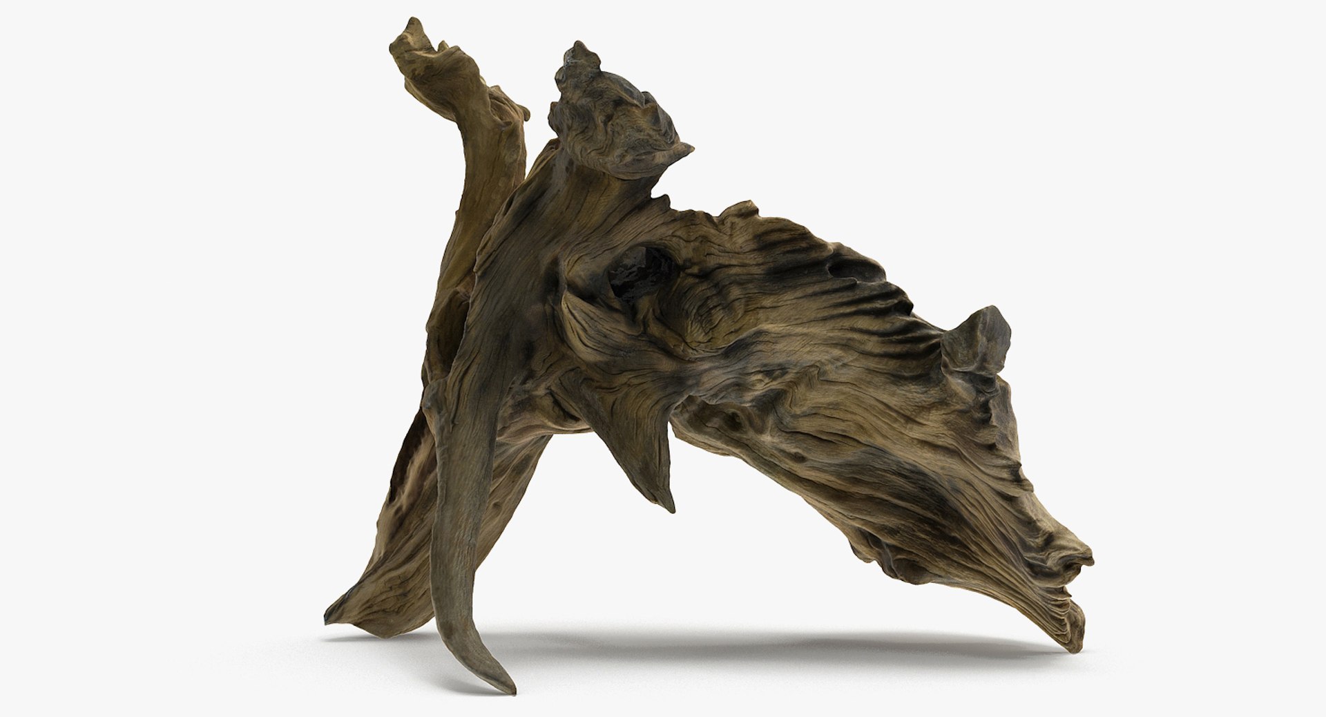 3D Bogwood Bog Wood - TurboSquid 1189629