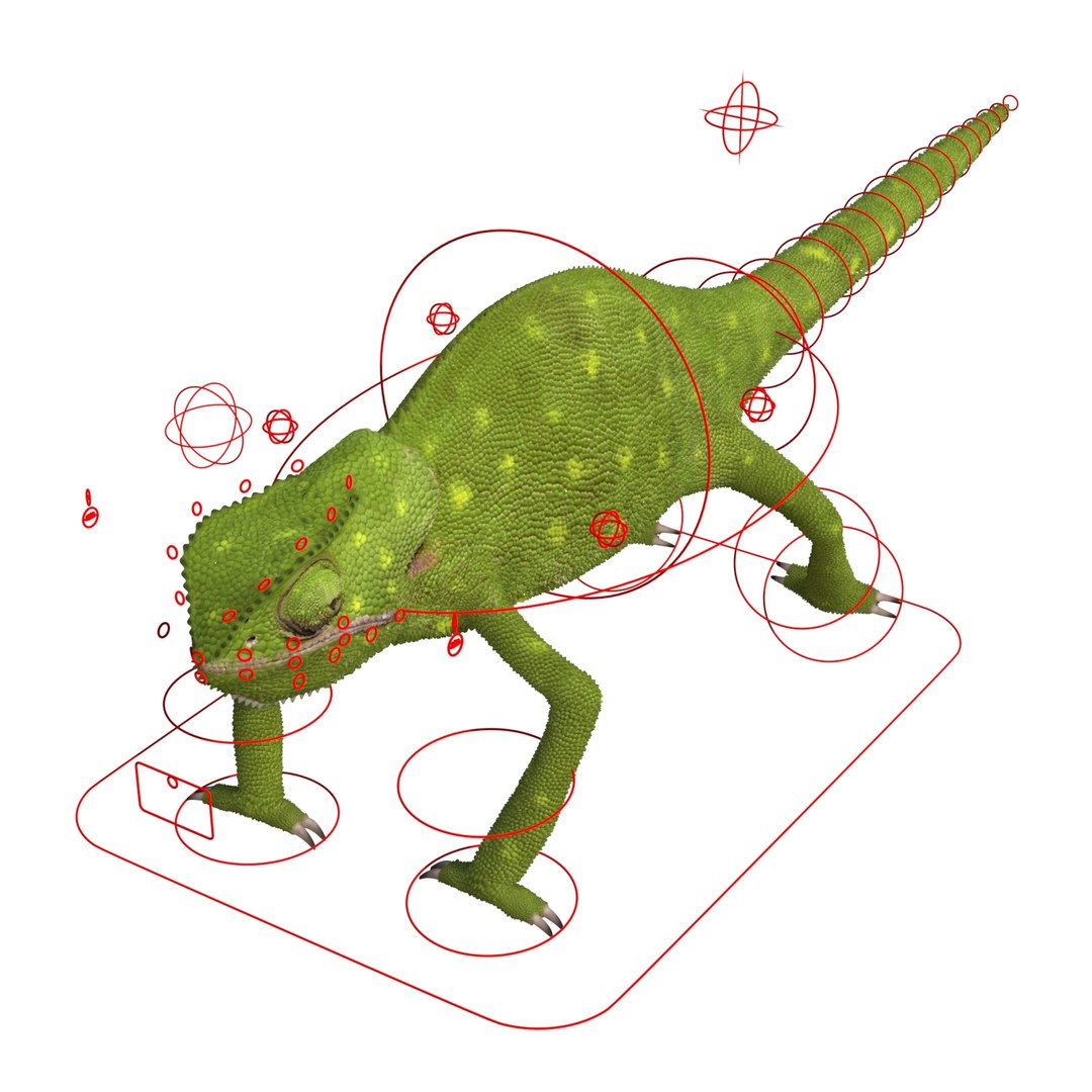 3D Chameleon Rigged - TurboSquid 1337920