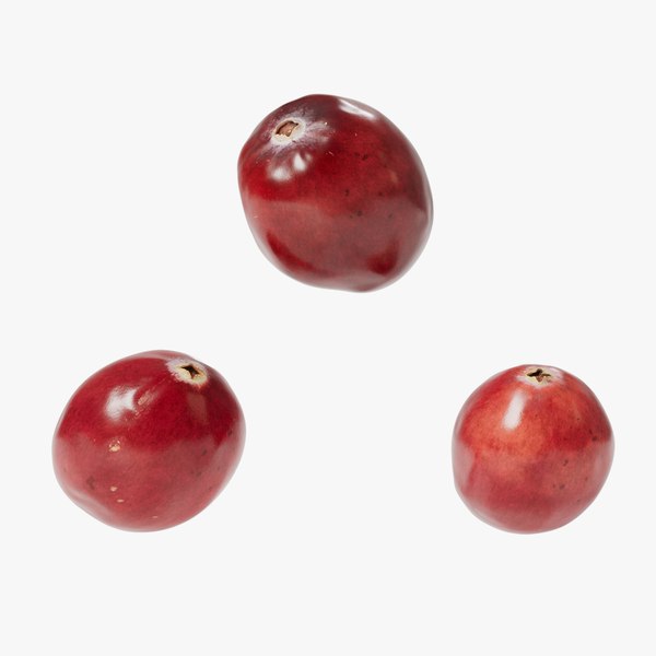 크랜베리 3D 모델 - TurboSquid 2162787