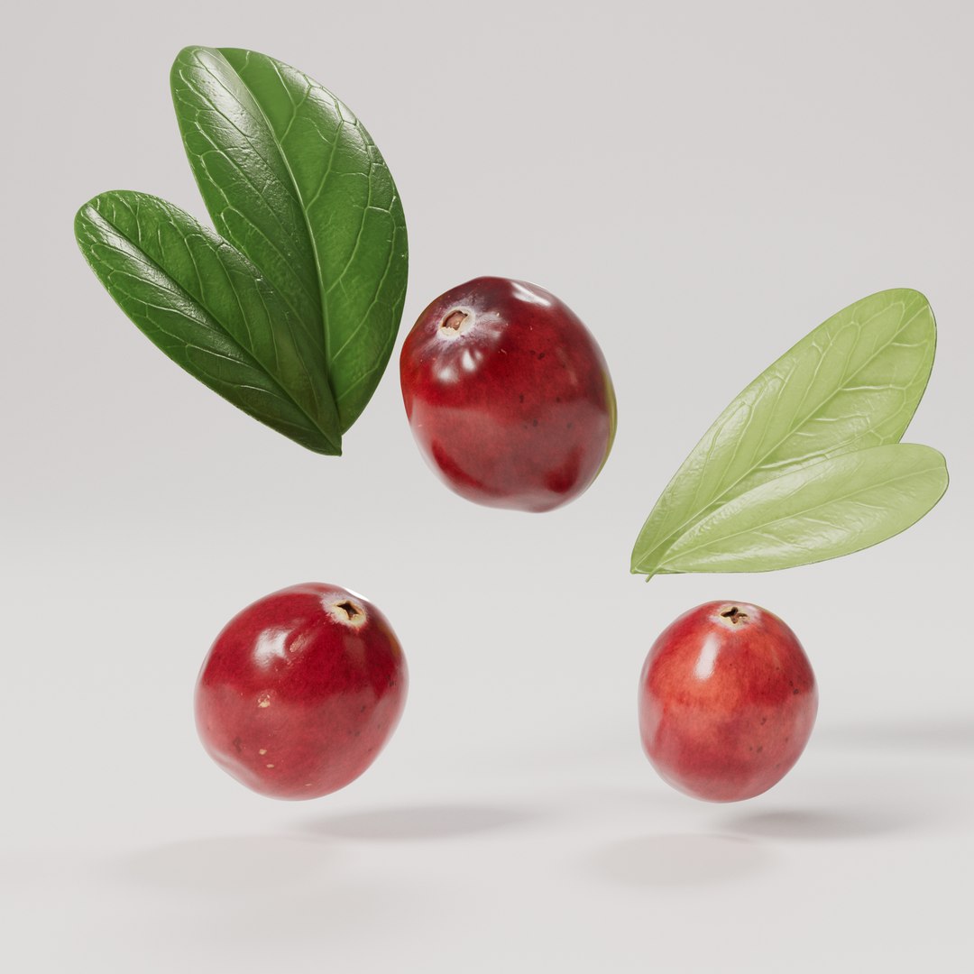 3D Model Cranberries - TurboSquid 2162787