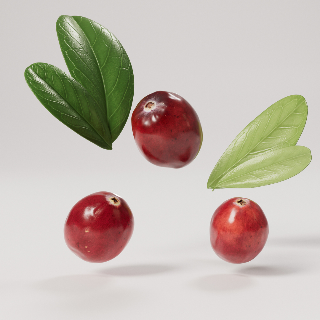 3D Model Cranberries - TurboSquid 2162787
